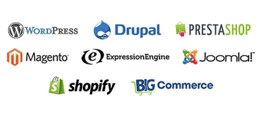 Desarrollo Web Profesional